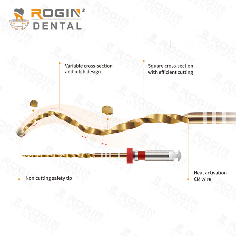 SUPER FLEXI FILES–Endodontic instruments for root canal – Med Dental ...